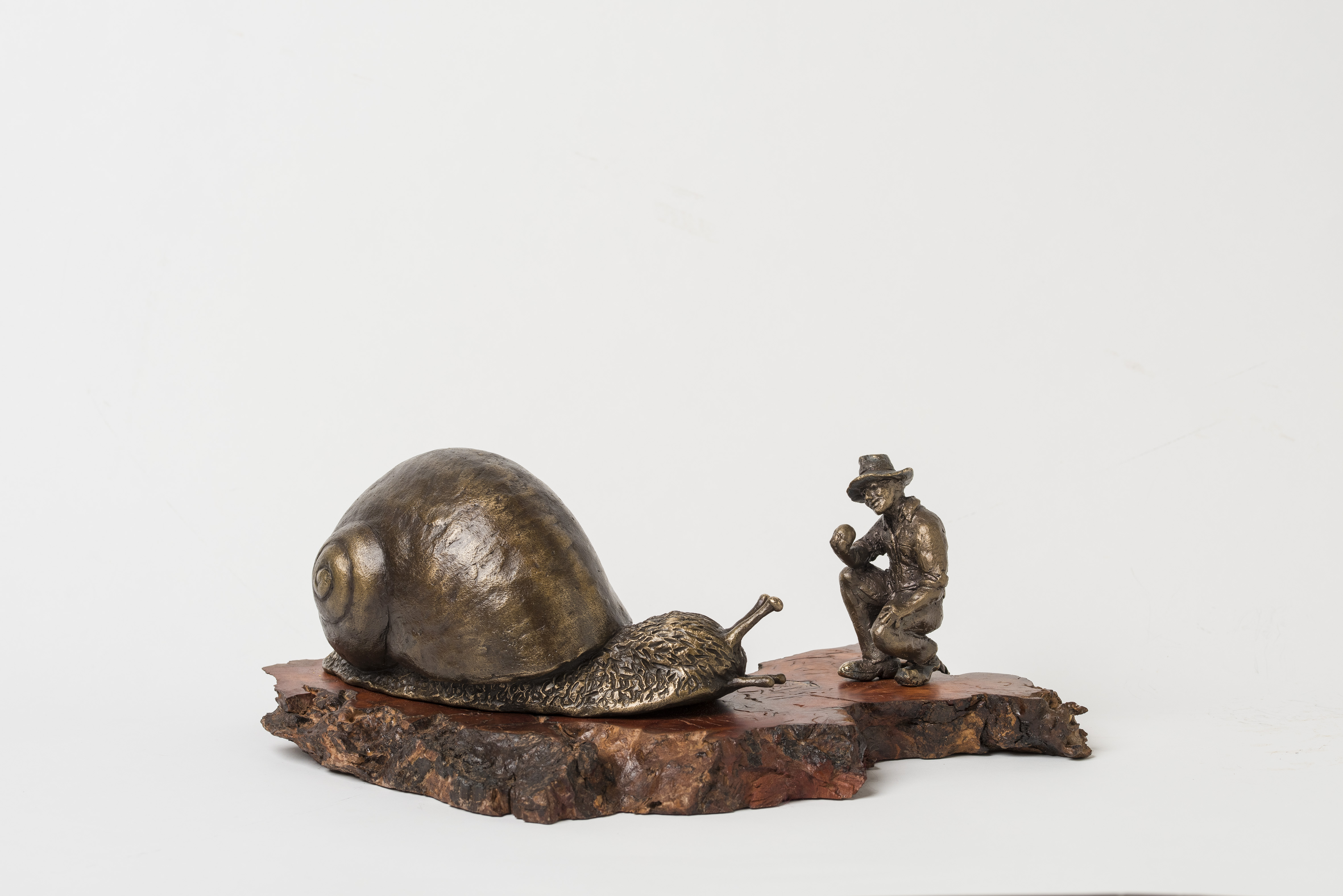 The Snail Whisperer™ | Facts About Snails