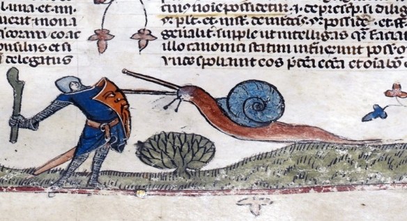 Snails in Human Culture | Facts About Snails