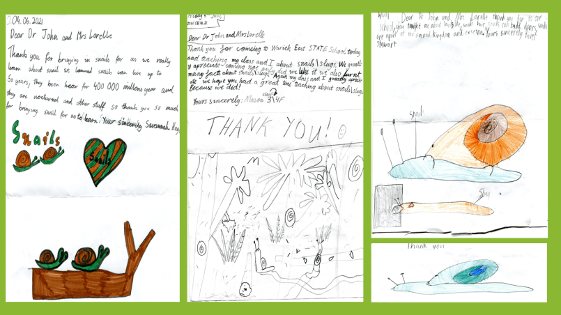 The Snail Whisperer | Facts About Snails